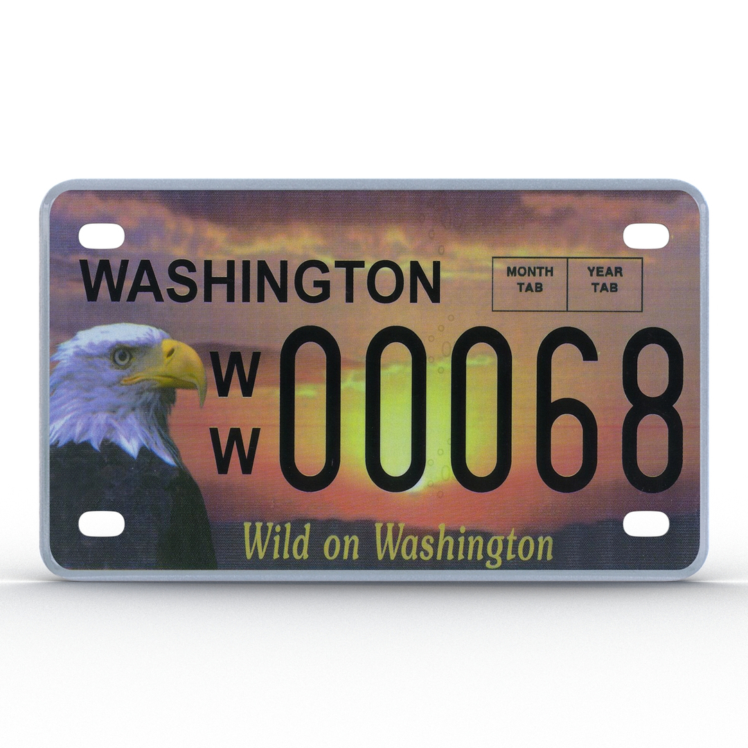 3ds Washington License Plate