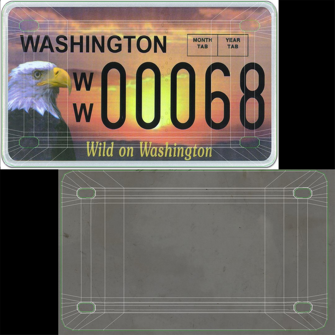 3ds Washington License Plate