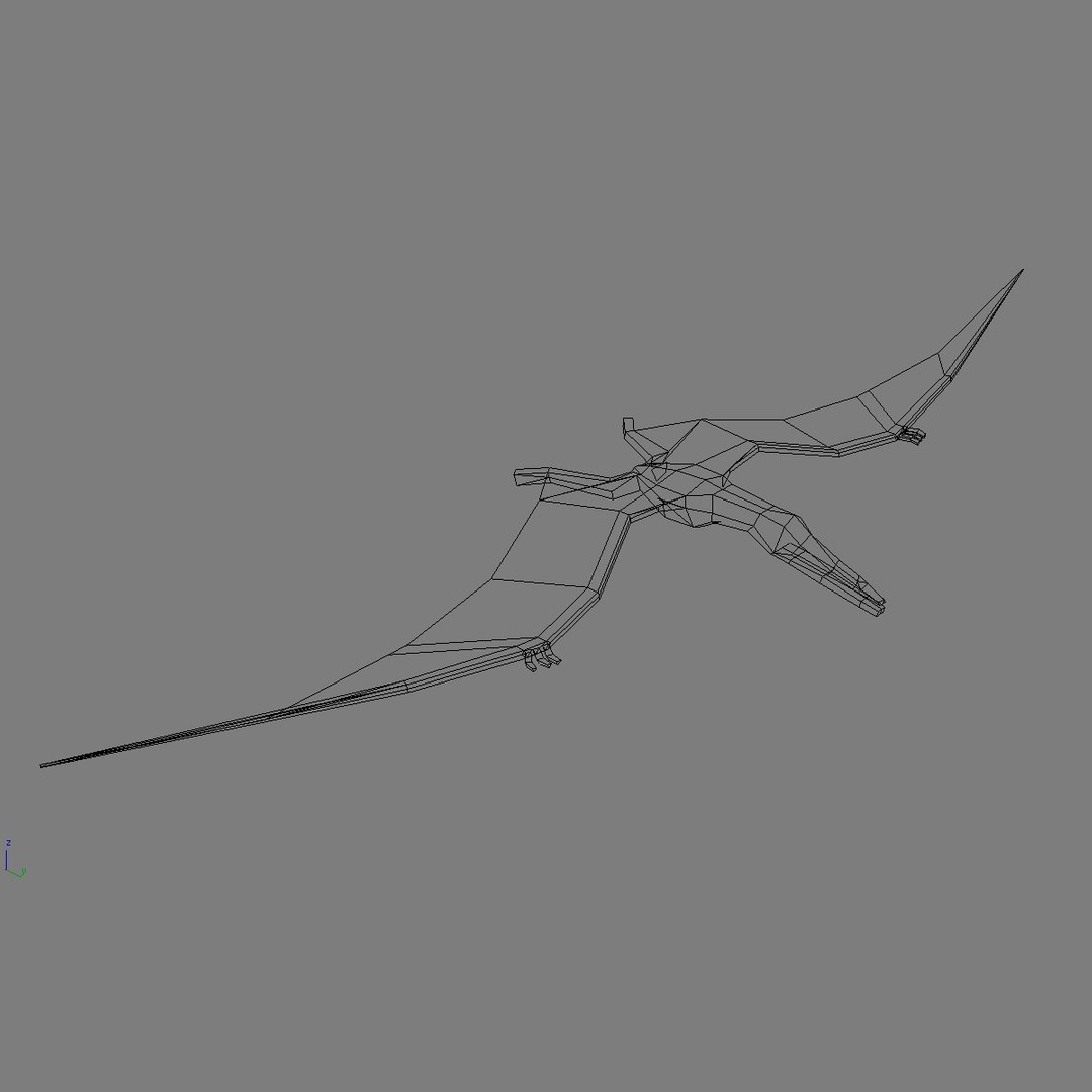 3d Model Of Pterodactylus