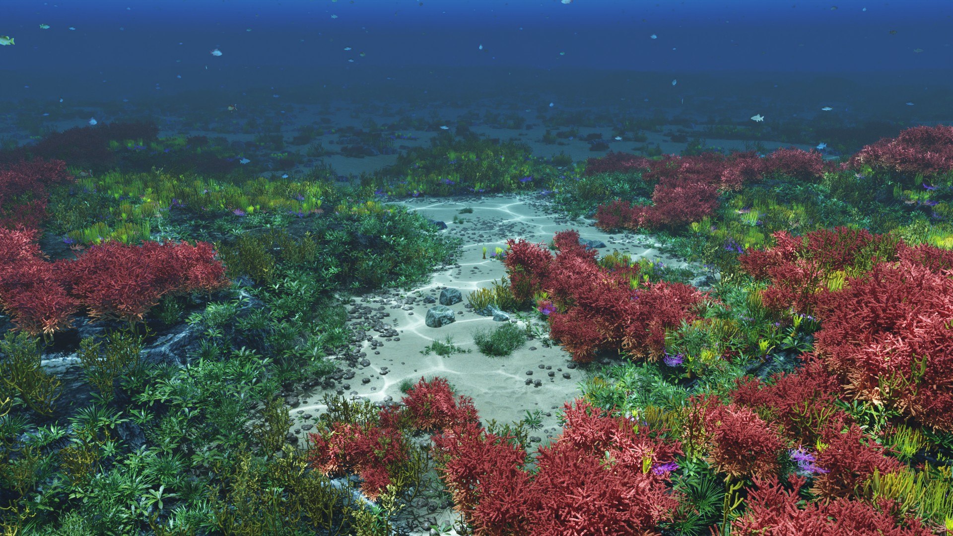 3D Underwater Seabed - TurboSquid 1925335