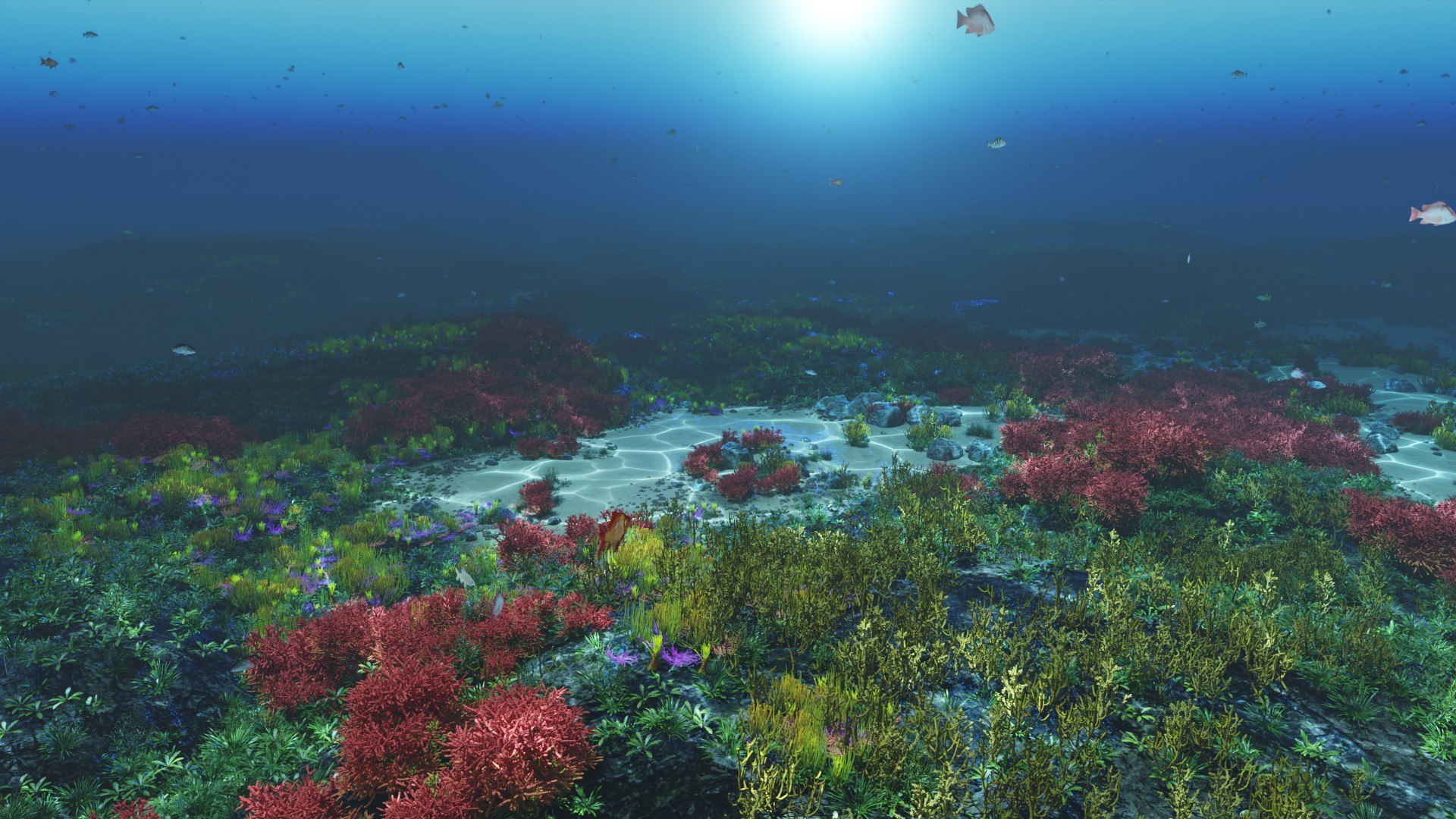 3D Underwater Seabed - TurboSquid 1925335