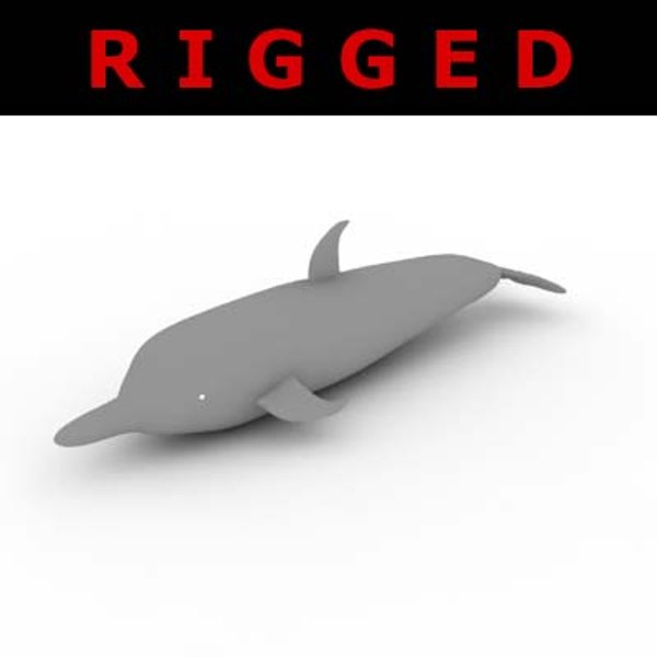 Free 3D Dolphin Models | TurboSquid