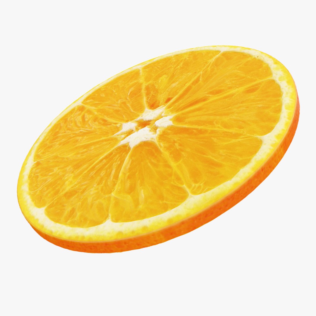 Orange round slice 3D model - TurboSquid 1903346