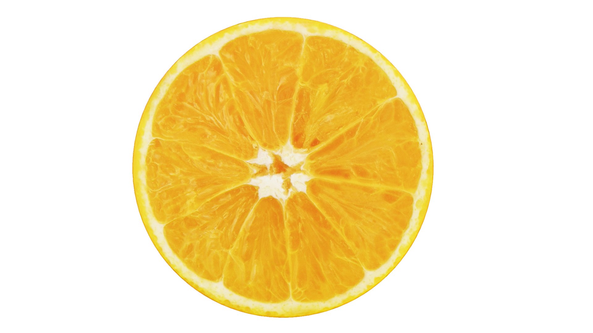 Orange round slice 3D model - TurboSquid 1903346
