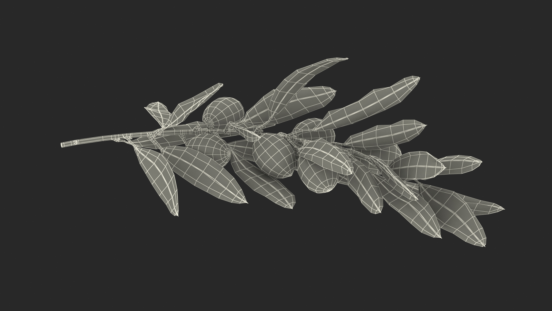 Olive Branch With Black Olives Lying 3D Model - TurboSquid 1944920