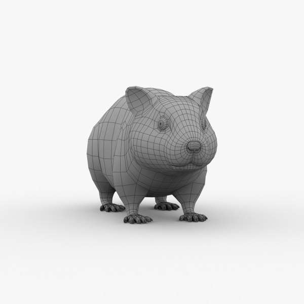 3D Hamster Models | TurboSquid