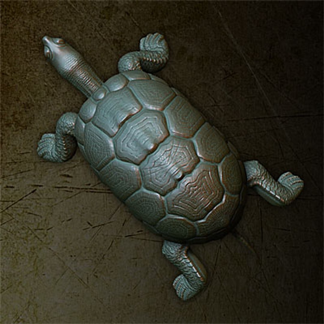 Max Mauremys Turtle