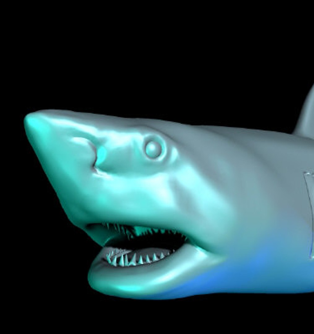 Maya Marine Animals Character