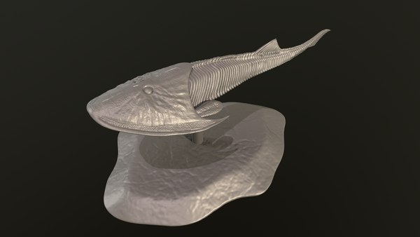 modelo 3d Modelo de impresión de Cephalaspis - TurboSquid 1597818