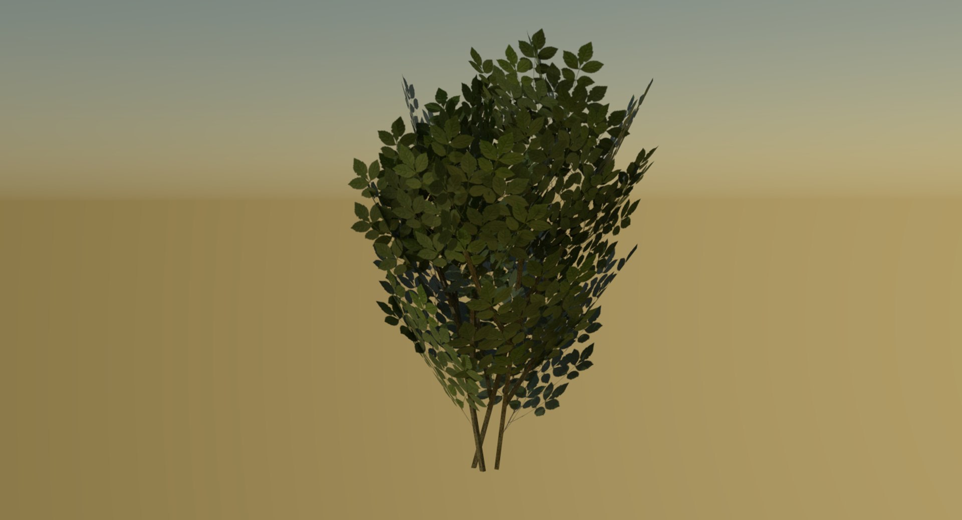 3d Shrub Ready Model