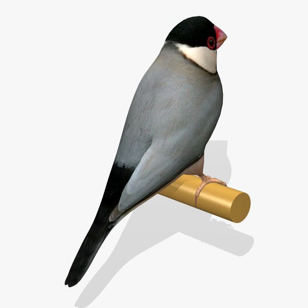 java sparrow ab 3ds