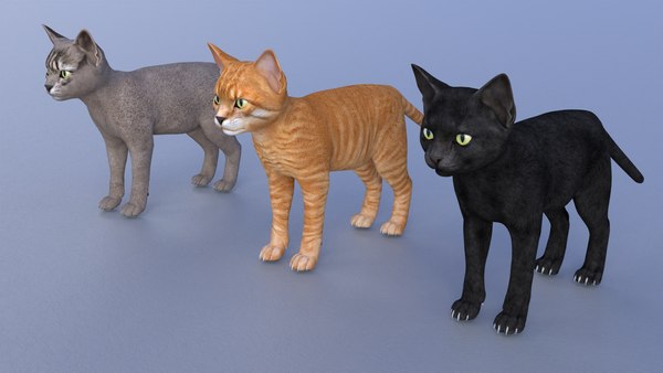 Kitten OBJ Models for Download | TurboSquid