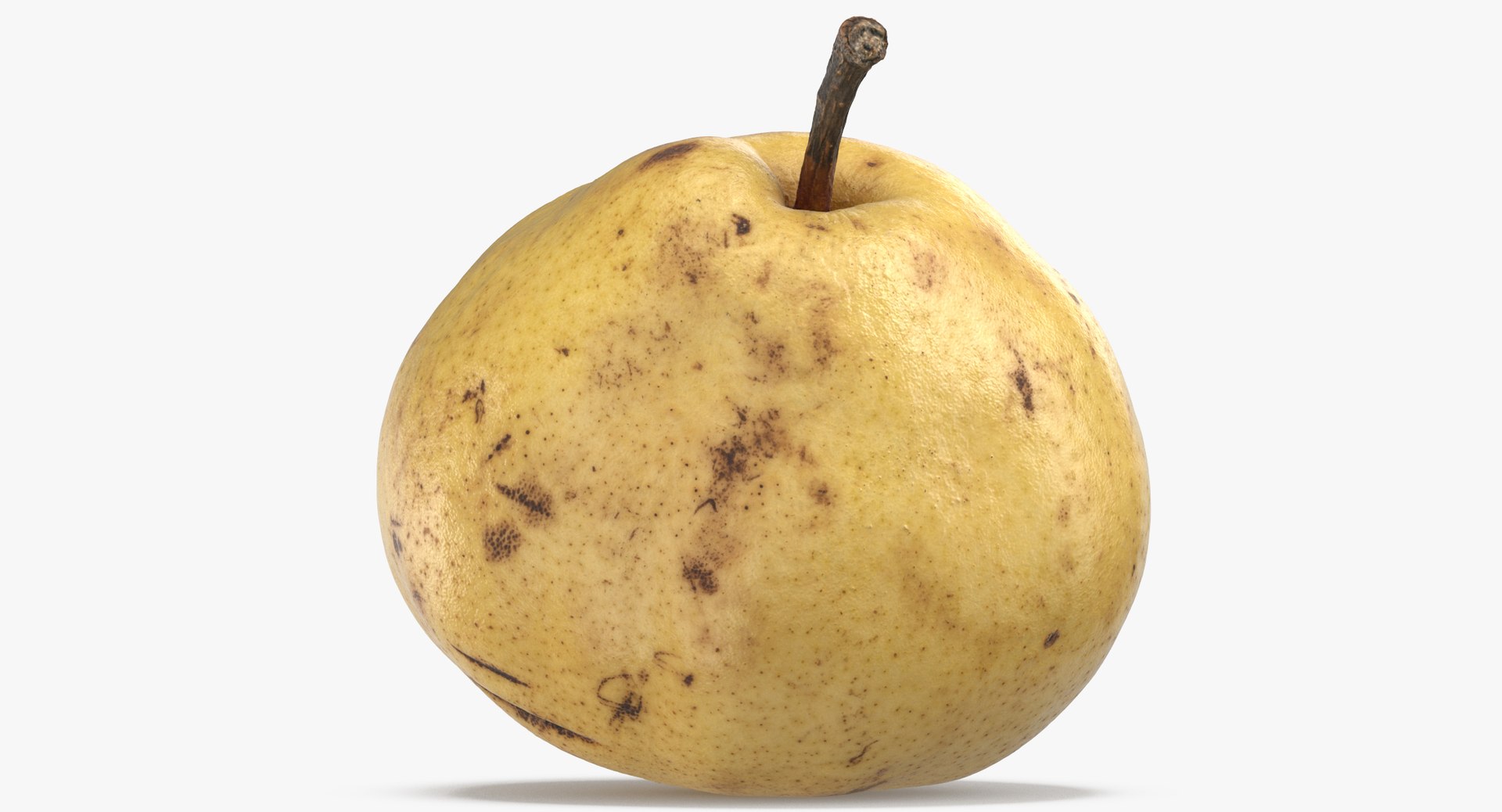 Comice Pear 03 3D Model - TurboSquid 1402939