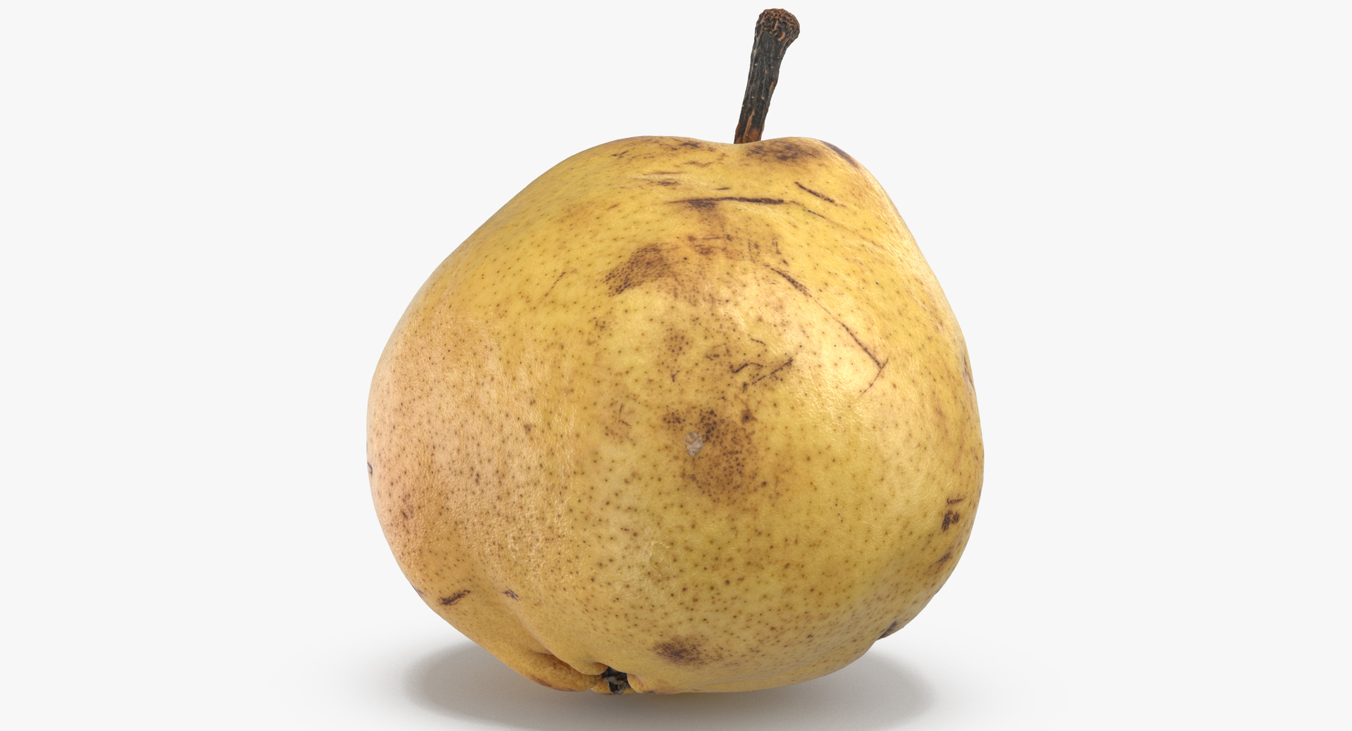 Comice Pear 03 3D Model - TurboSquid 1402939