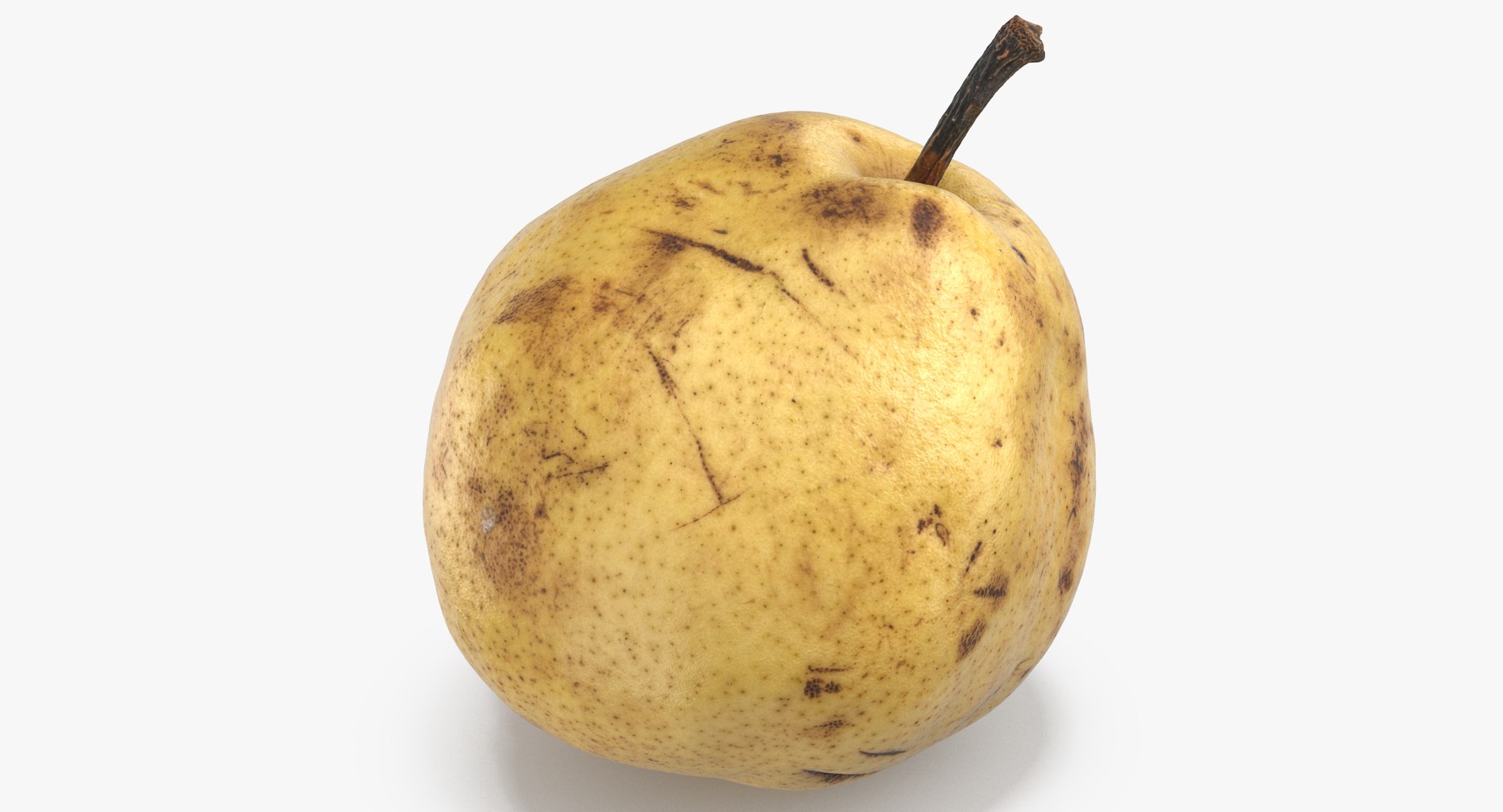 Comice Pear 03 3D Model - TurboSquid 1402939