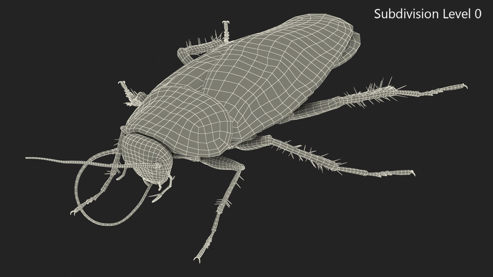 3D Animated Cockroach Cleans Mustache Rigged For Maya Model ...