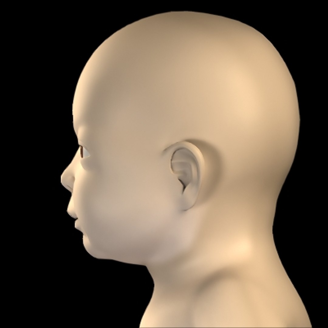 3d Baby Human Model