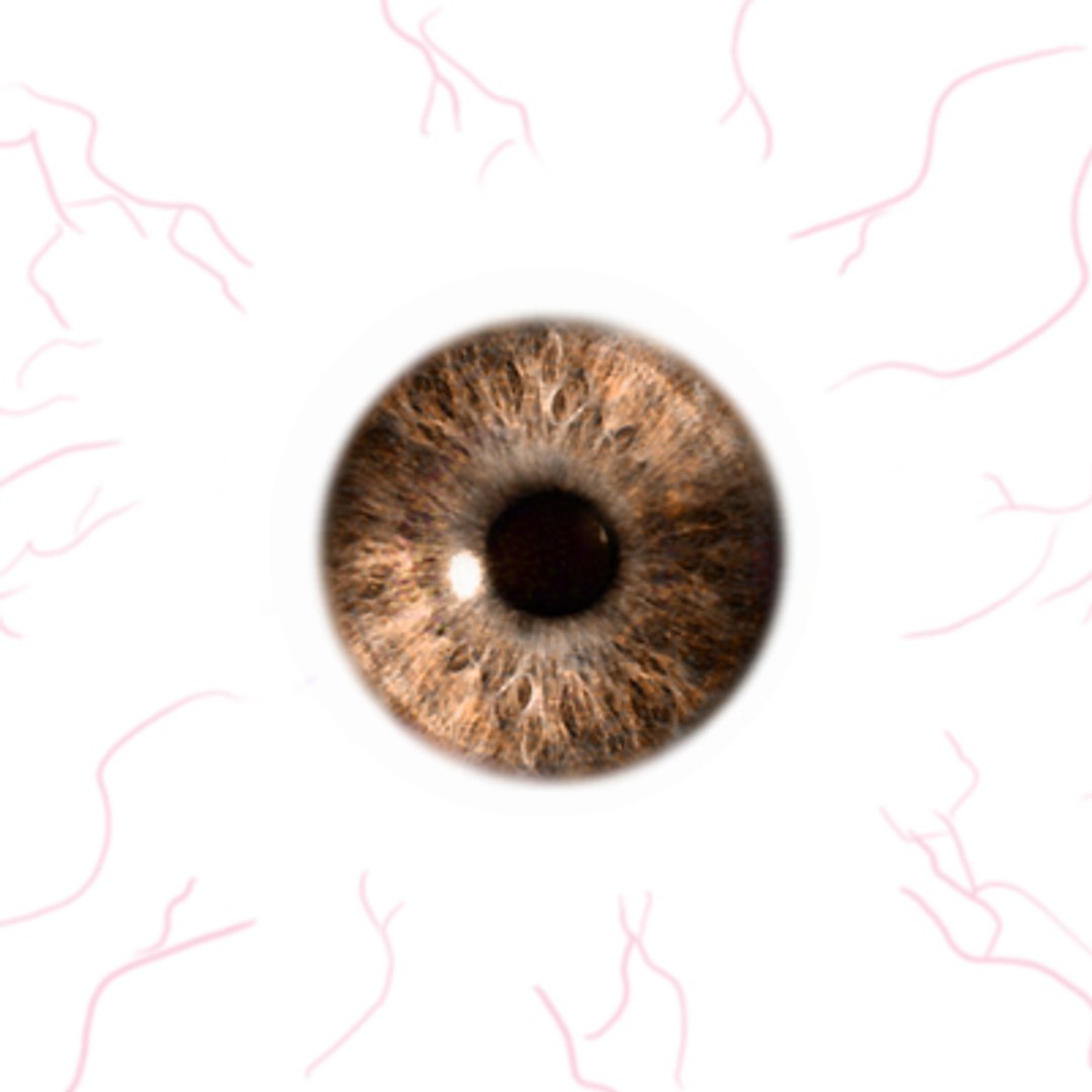 Eye Stylized Layer 3d Model