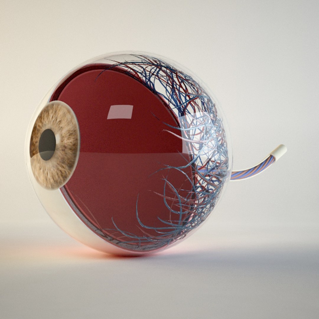 Eye Stylized Layer 3d Model