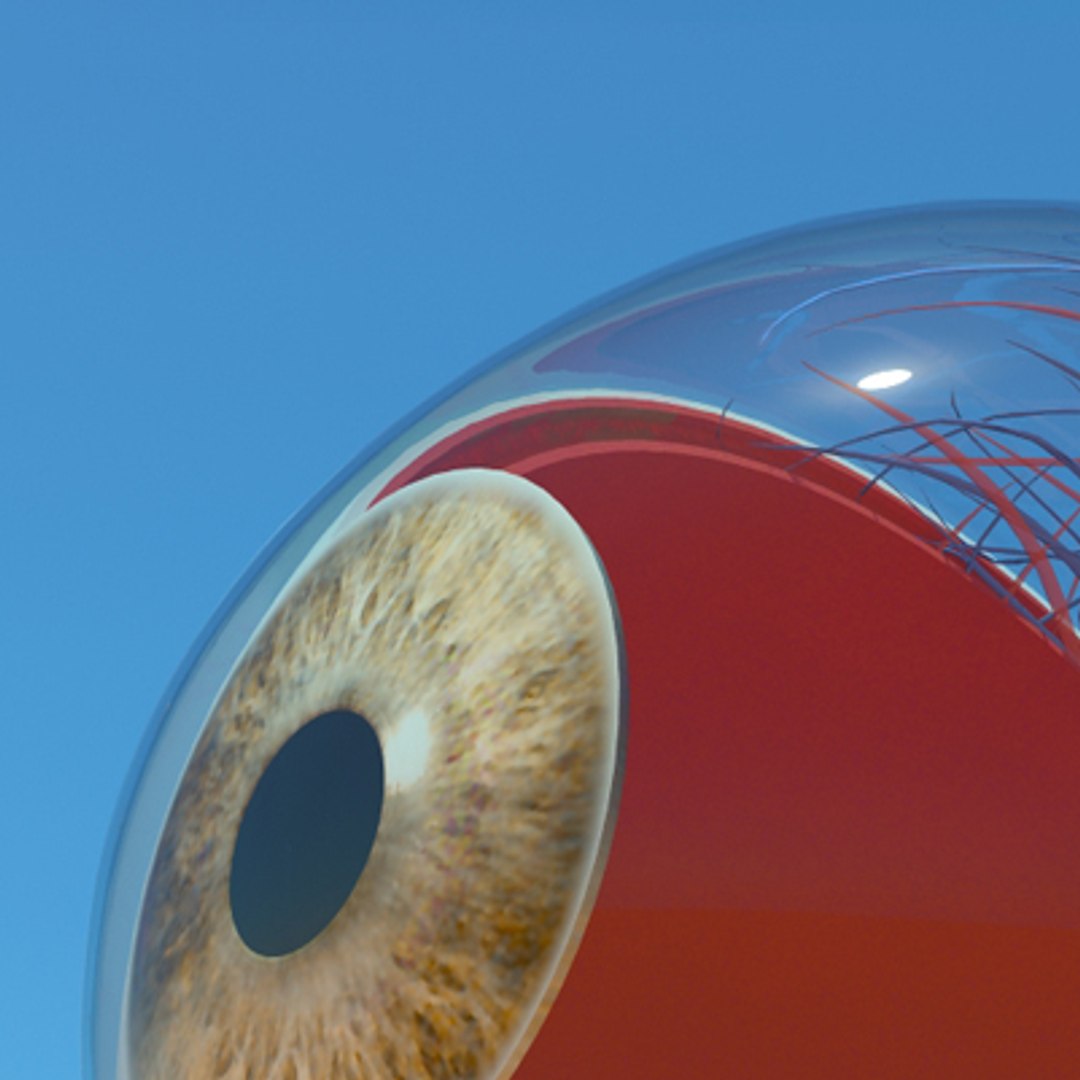 Eye Stylized Layer 3d Model