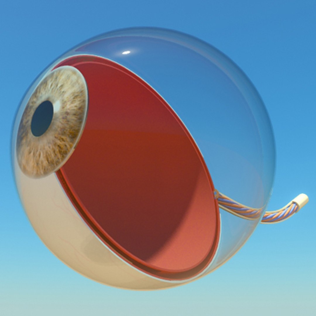 Eye Stylized Layer 3d Model