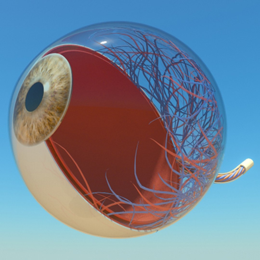 Eye Stylized Layer 3d Model