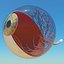 Eye Stylized Layer 3d Model