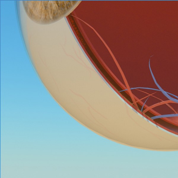 eye stylized layer 3d model