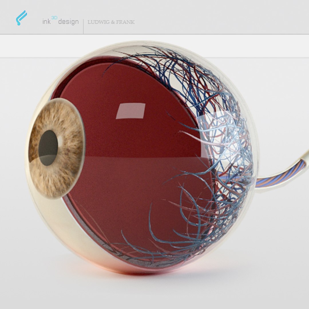 Eye Stylized Layer 3d Model