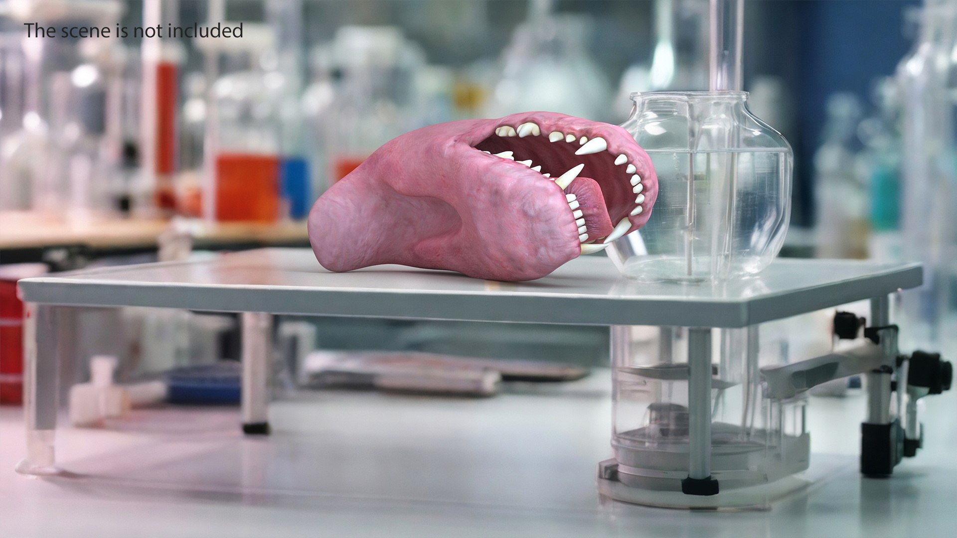 Dog Jaw Anatomic Rigged For Maya 3D Model - TurboSquid 2255020