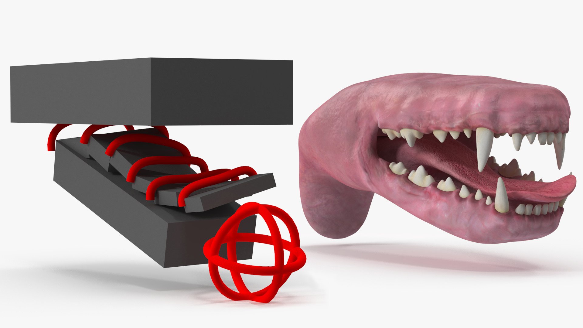 Dog Jaw Anatomic Rigged For Maya 3D Model - TurboSquid 2255020