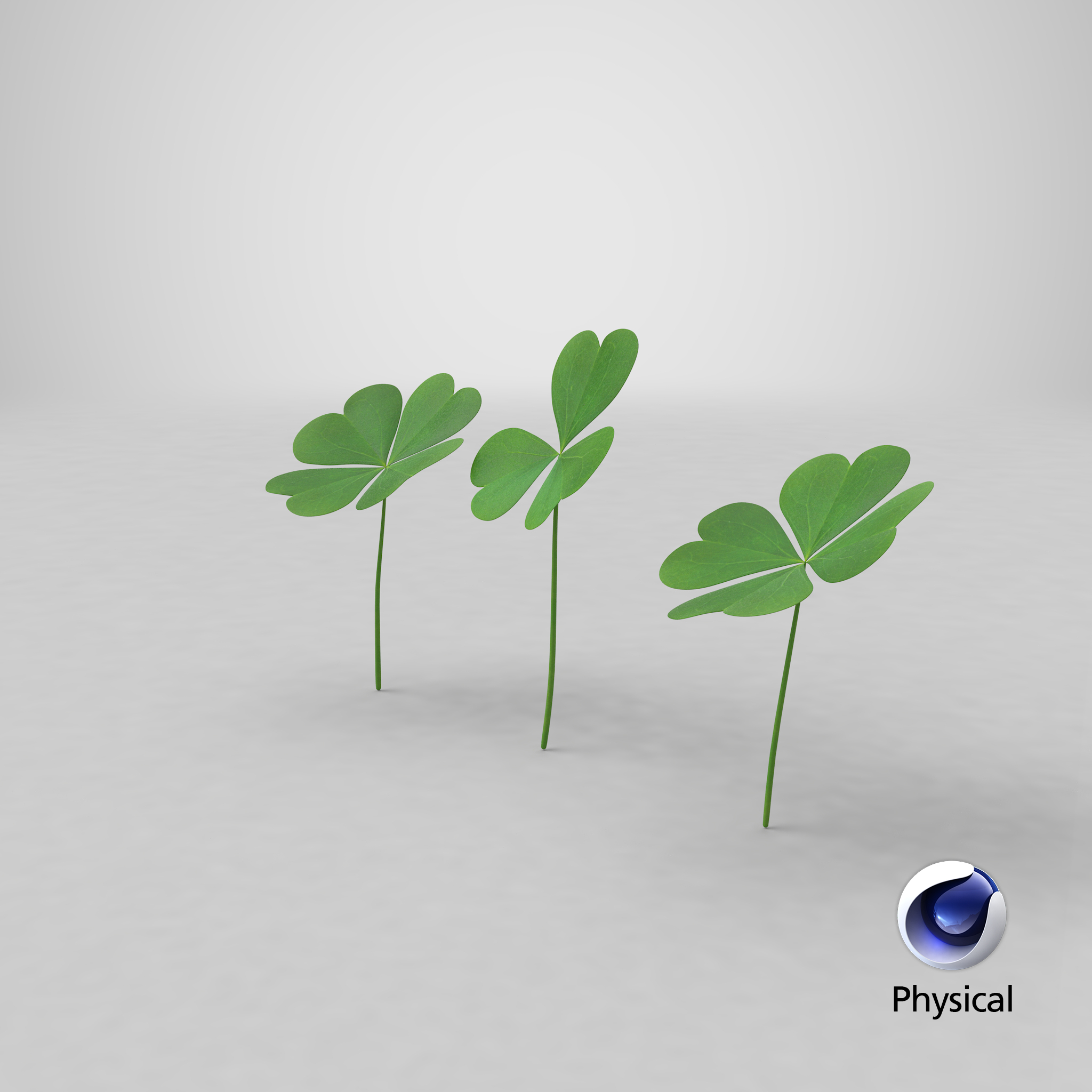Green clover plant set 3D - TurboSquid 1584161