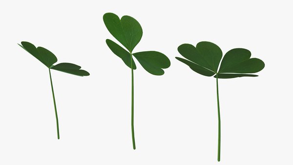Green clover plant set 3D - TurboSquid 1584161