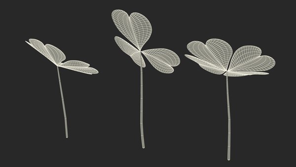 Green clover plant set 3D - TurboSquid 1584161