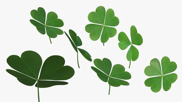 Green clover plant set 3D - TurboSquid 1584161