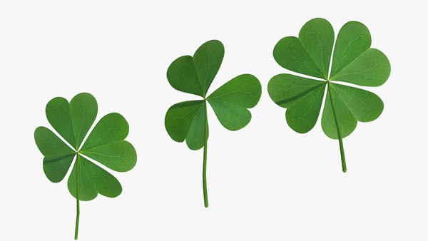Green clover plant set 3D - TurboSquid 1584161