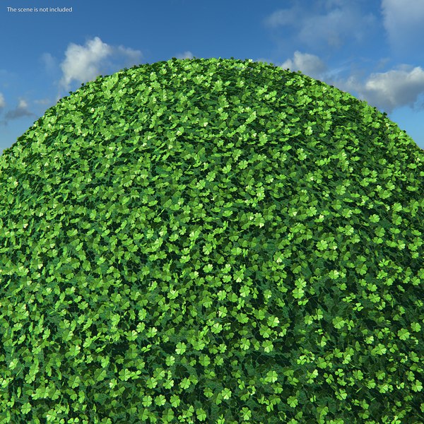 Green clover plant set 3D - TurboSquid 1584161