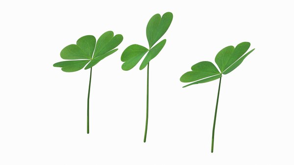 Green clover plant set 3D - TurboSquid 1584161