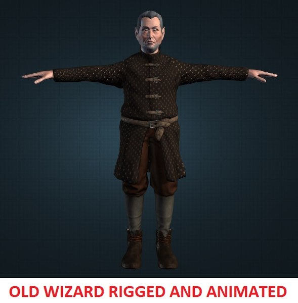 3d model old wizard