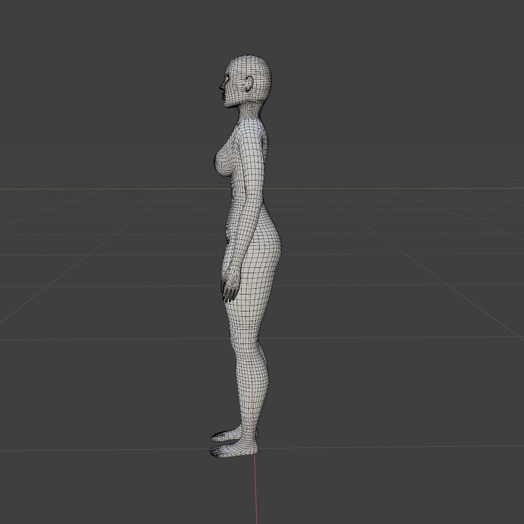 Female Mesh 3D Model - TurboSquid 1808104