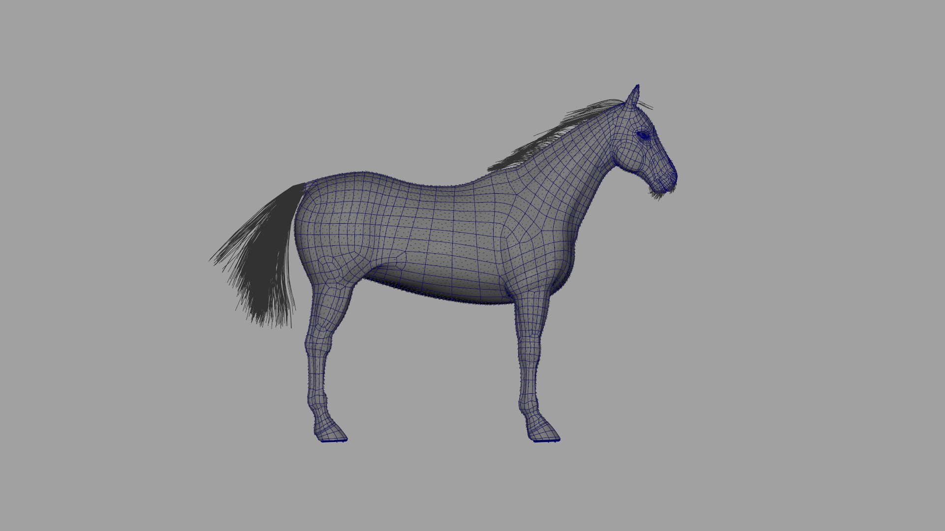 3D Horse Animated Hair - TurboSquid 2158110