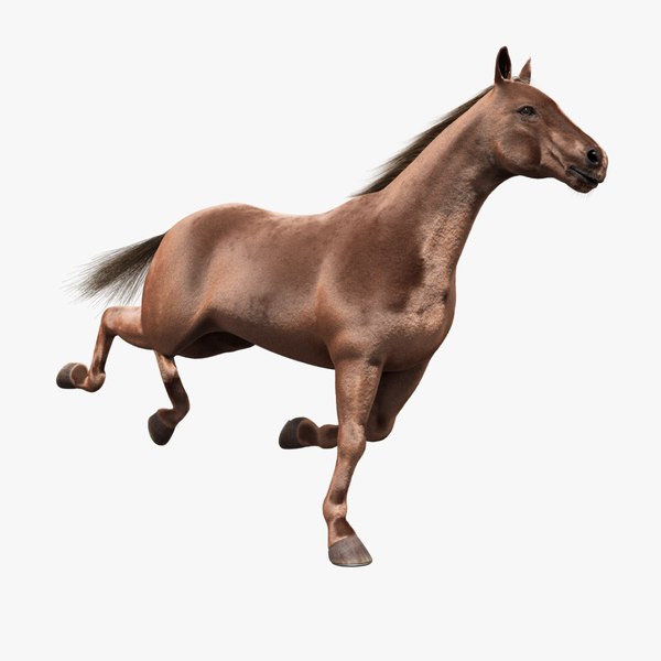 modelo 3d Caballo animado con pelo. - TurboSquid 2158110