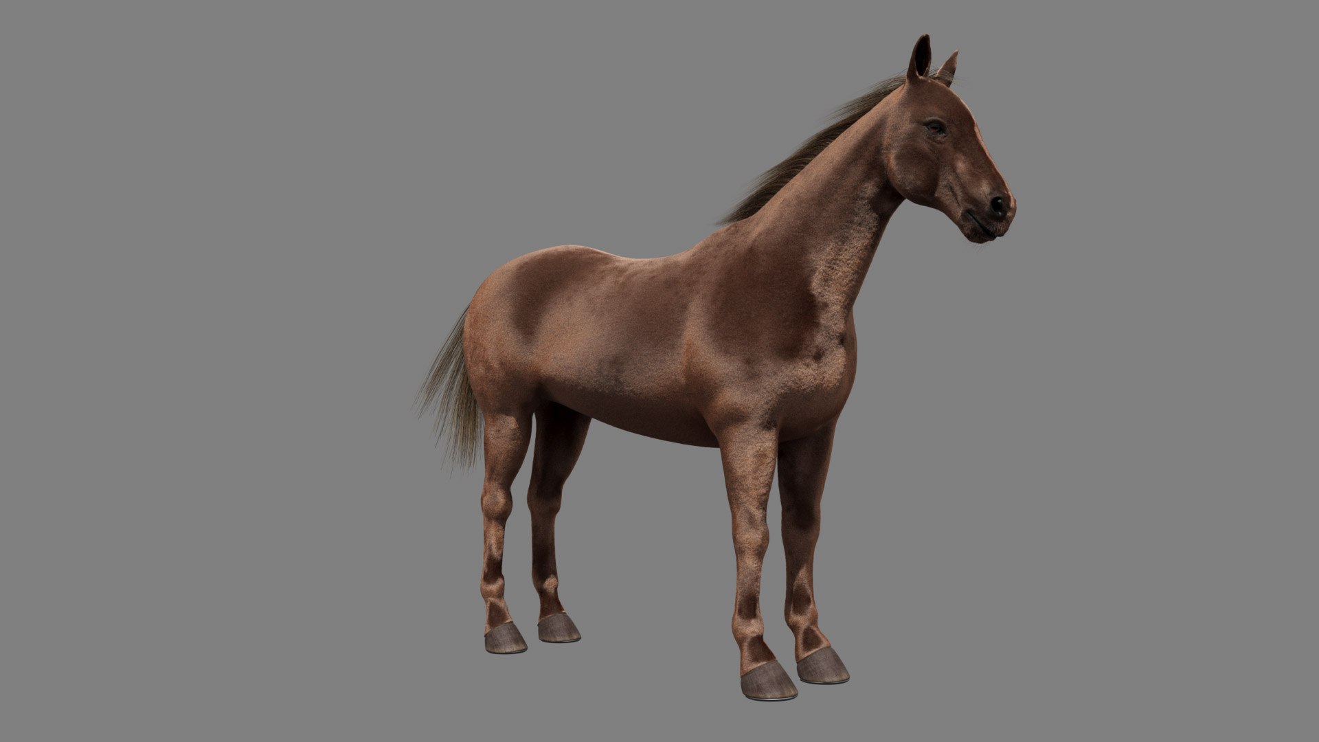 3D Horse Animated Hair - TurboSquid 2158110