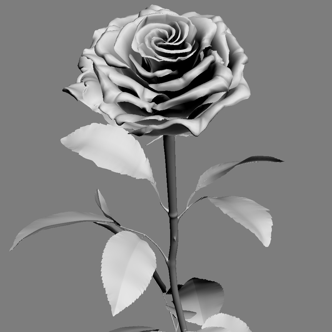 3d flowers red rose