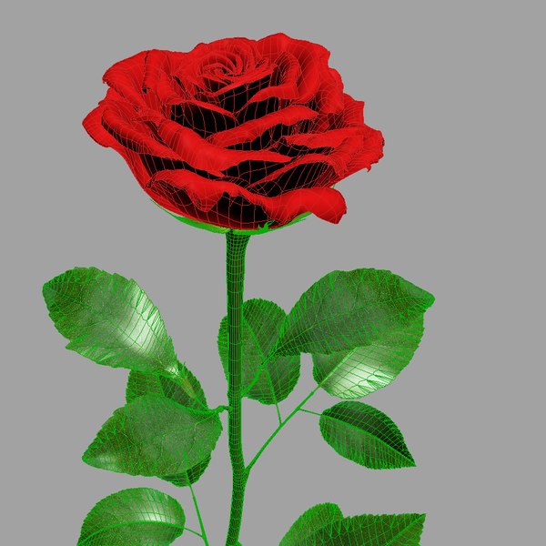 3d flowers red rose