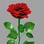 3d flowers red rose