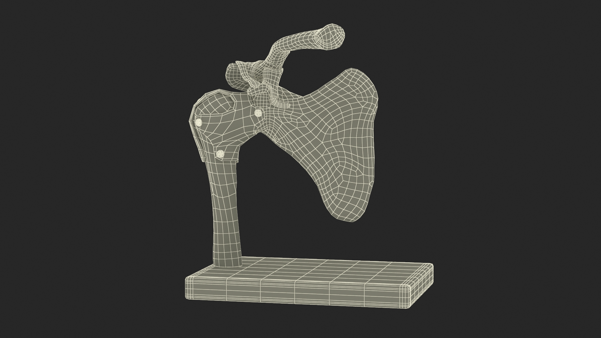Shoulder Joint 3D Model - TurboSquid 2287835