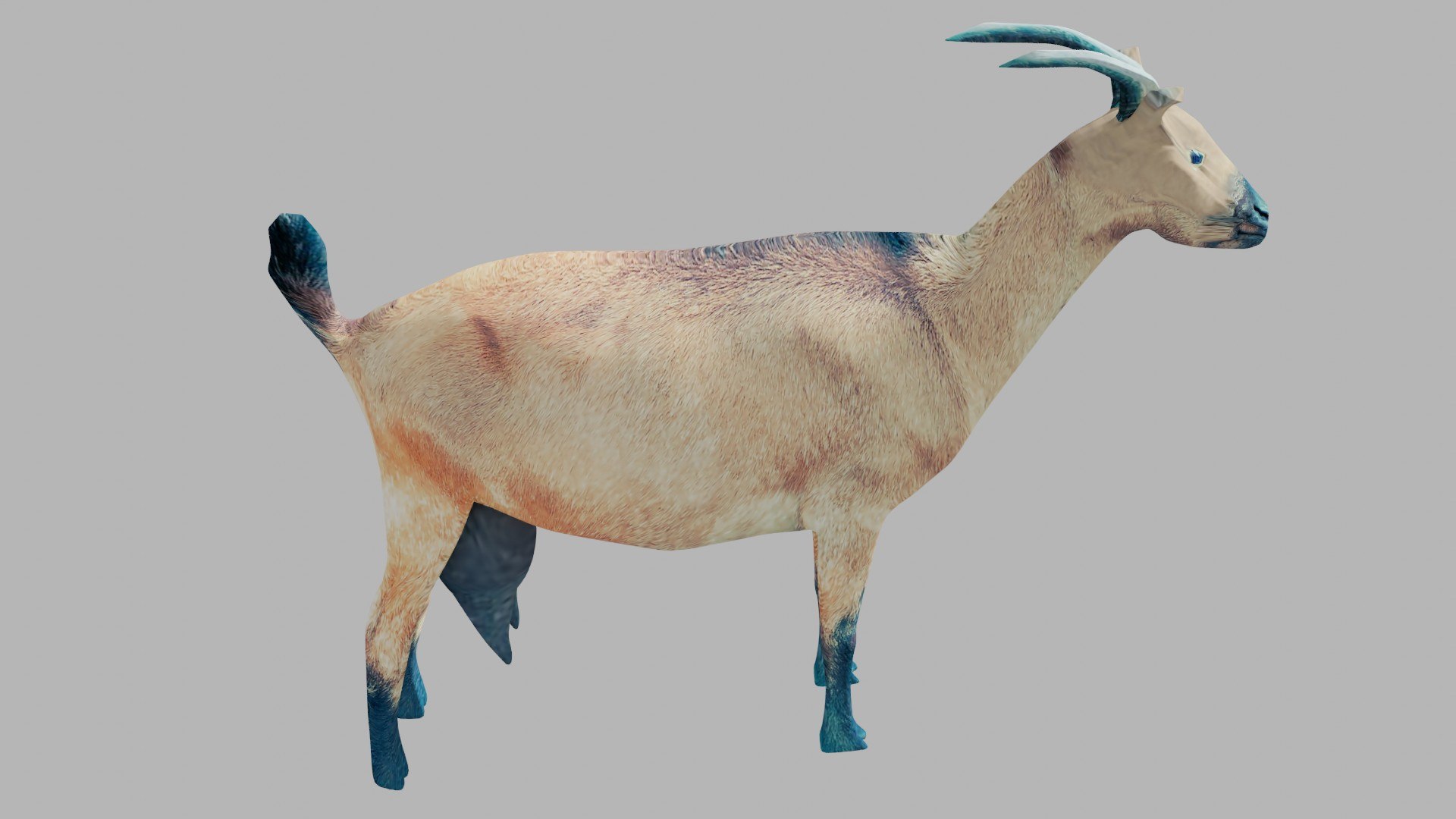Goat And Sheep Pack 3D Model - TurboSquid 2255167