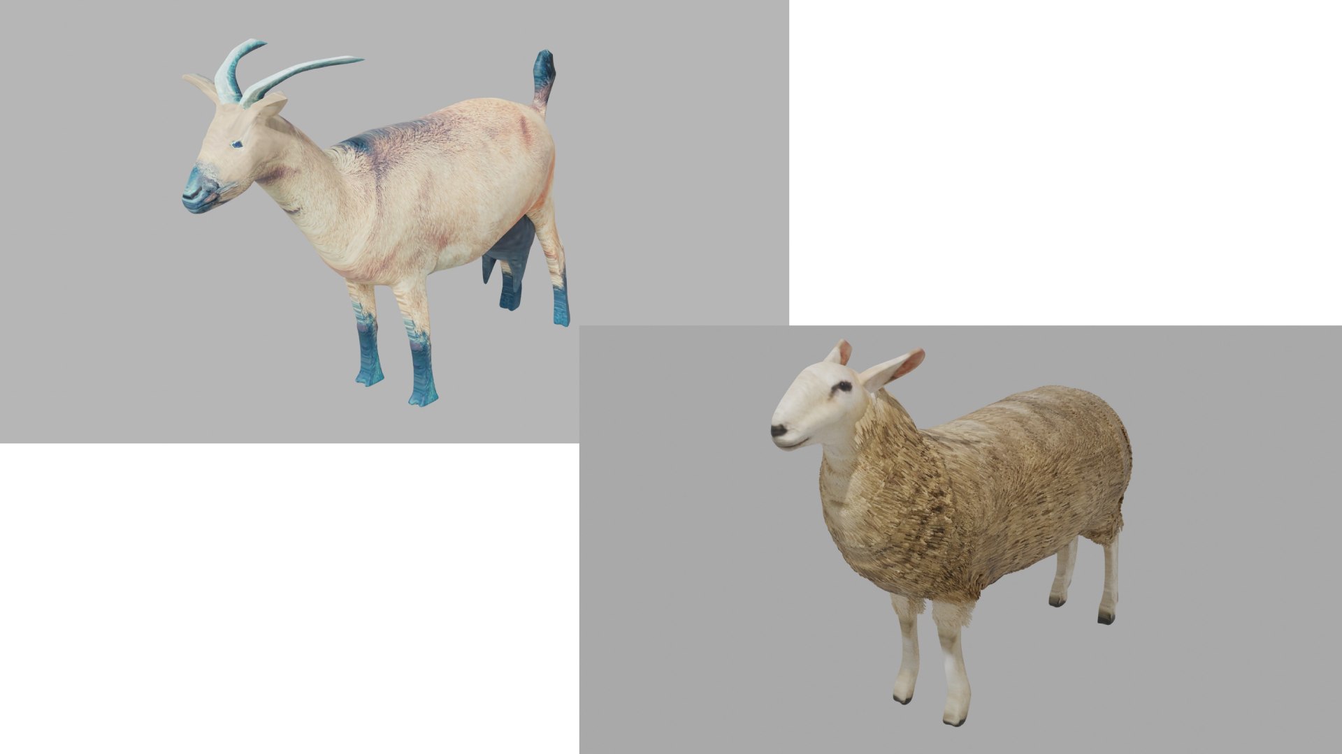 Goat And Sheep Pack 3D Model - TurboSquid 2255167