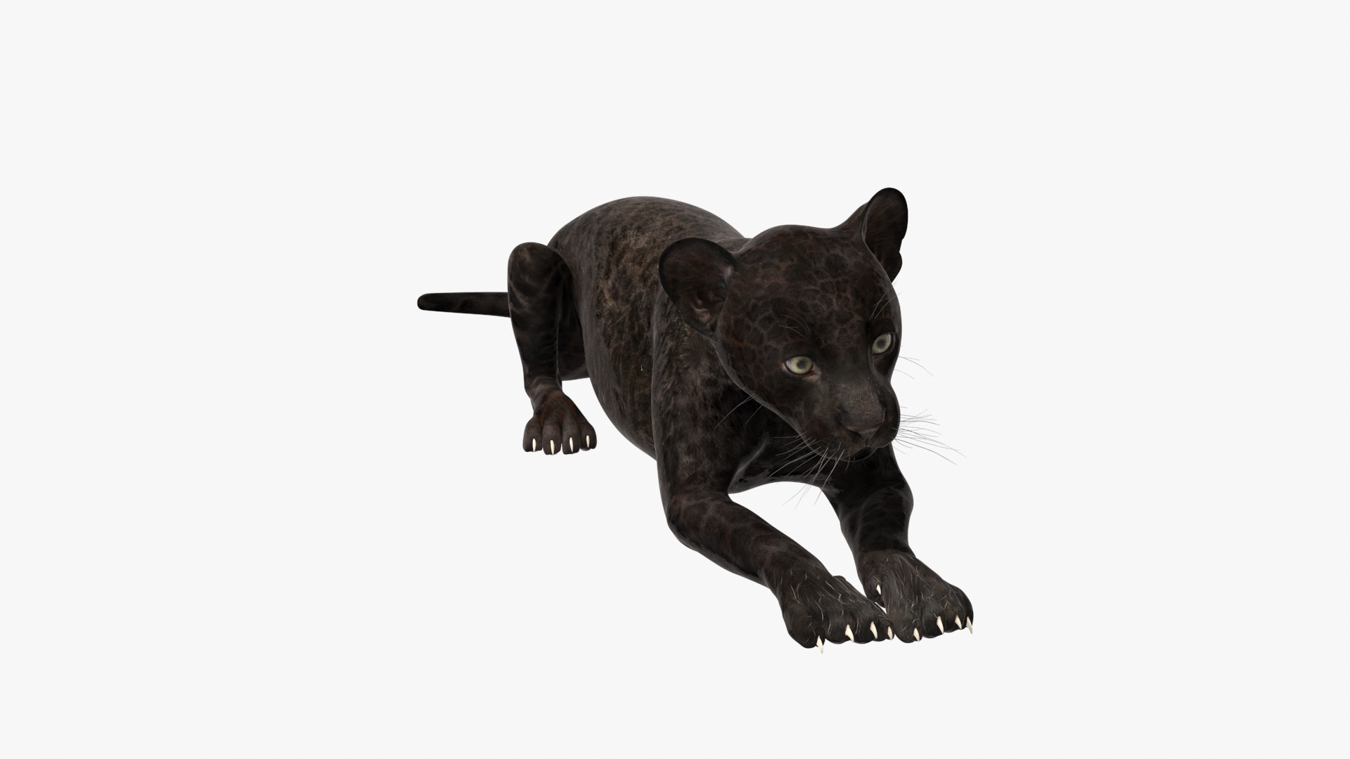 3D Panther Cub Lying Down Model - TurboSquid 2335570